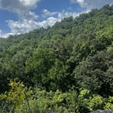 Window Cliffs Trail, Tennessee - 1,563 Reviews, Map | AllTrails