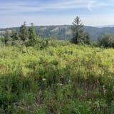 Kelly Canyon Trail, Idaho - 366 Reviews, Map | AllTrails