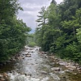 Franconia Falls Trail, New Hampshire - 1,886 Reviews, Map | AllTrails