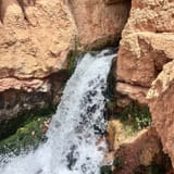 Cascade Falls, Utah - 903 Reviews, Map | AllTrails