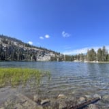 Weaver Lake Trail, California - 1,112 Reviews, Map | AllTrails