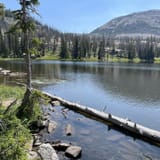 Ruth Lake Trail, Utah - 495 Reviews, Map | AllTrails