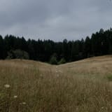 Hagg Lake Trail Section H, Oregon - 251 Reviews, Map | AllTrails