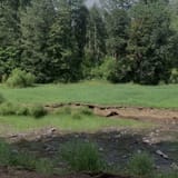 Hagg Lake Trail Section H, Oregon - 251 Reviews, Map | AllTrails