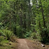 Hagg Lake Trail Section H, Oregon - 251 Reviews, Map | AllTrails