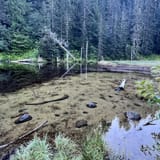 June Lake Trail, Washington - 848 Reviews, Map | AllTrails