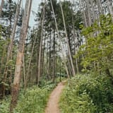 Lester River Trail and Amity East, Minnesota - 998 Reviews, Map | AllTrails