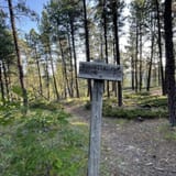 Coon Hollow Loop, South Dakota - 1,341 Reviews, Map | AllTrails