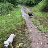 Skippack Creek Loop Trail, Pennsylvania - 4,067 Reviews, Map | AllTrails