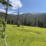 Timber Lake Trail, Colorado - 688 Reviews, Map | AllTrails