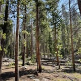 Timber Lake Trail, Colorado - 712 Reviews, Map | AllTrails