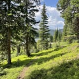 Timber Lake Trail, Colorado - 712 Reviews, Map | AllTrails
