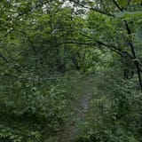 Coon Hollow Loop, South Dakota - 1,341 Reviews, Map | AllTrails