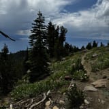 Tahoe Rim Trail (TRT): Brockway Summit to Mount Rose Summit, California ...
