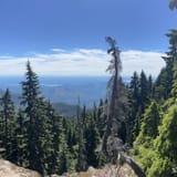 Mount Ellinor Trail, Washington - 2,851 Reviews, Map | AllTrails