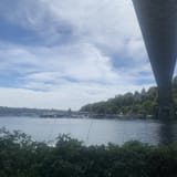Cheshiahud Lake Union Loop, Washington - 1,946 Reviews, Map | AllTrails