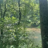 Alberton Road Trail, Maryland - 1,405 Reviews, Map | AllTrails