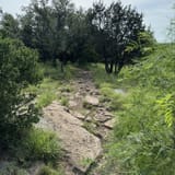 Gorman Falls Trail, Texas - 1,164 Reviews, Map | AllTrails