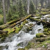 Karst Spring Trail, Alberta, Canada - 996 Reviews, Map | AllTrails