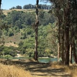 Lake Chabot Loop via West, Bass, Columbine, Honker, East Shore Trails ...