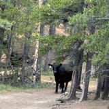 Fullerton Loop Trail, Alberta, Canada - 4,220 Reviews, Map | AllTrails