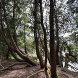 Devil’s Back Trail, Maine - 359 Reviews, Map | AllTrails