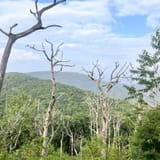Standing Indian, Mount Albert, Nantahala Basin Loop, North Carolina ...