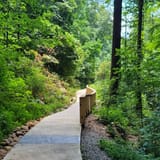 Amicalola Falls via East Ridge Loop Trail, Georgia - 3,919 Reviews, Map ...
