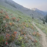 Bridger Ridge Trail, Montana - 177 Reviews, Map | AllTrails