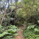 Mount Katsuu, Okinawa, Japan - 210 Reviews, Map | AllTrails