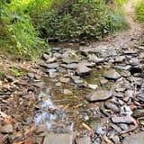 Stevens Trail, California - 4,942 Reviews, Map | AllTrails