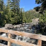 Snow Lakes Trail, Washington - 1,329 Reviews, Map | AllTrails