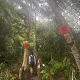 Bukit Dinding via Kazumi Trail, Kuala Lumpur, Malaysia - 220 Reviews ...