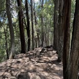 Makiki Valley Loop, Oahu, Hawaii - 6,111 Reviews, Map | AllTrails