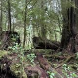 Short Sand Beach Trail, Oregon - 711 Reviews, Map | AllTrails