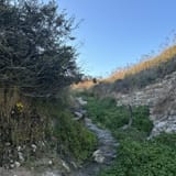 Old Cove Landing Trail, California - 4,111 Reviews, Map | AllTrails