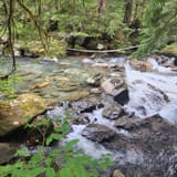 Elliott Creek Loop, Washington - 71 Reviews, Map | AllTrails