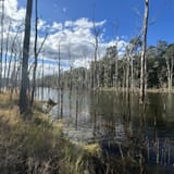 Pages Pinnacle , Queensland, Australia - 1,612 Reviews, Map | AllTrails