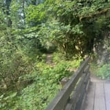 Lime Kiln Trail, Washington - 2,924 Reviews, Map | AllTrails