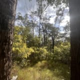 Pages Pinnacle , Queensland, Australia - 1,584 Reviews, Map | AllTrails