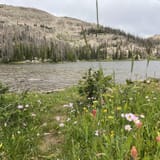 Ruth Lake Trail, Utah - 495 Reviews, Map | AllTrails