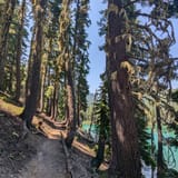 Devils Lake Trail, Oregon - 209 Reviews, Map | AllTrails