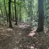 Kinver Edge Circular, West Midlands, England - 745 Reviews, Map | AllTrails