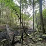Foster Falls Climbers Loop Trail, Tennessee - 2,073 Reviews, Map ...