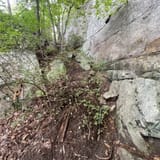 Foster Falls Climbers Loop Trail, Tennessee - 2,073 Reviews, Map ...