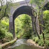 Chee Dale Gorge Circular, Derbyshire, England - 1,856 Reviews, Map ...