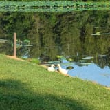 Adams Lake Loop Trail, Ohio - 48 Reviews, Map | AllTrails