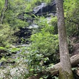 Hidden Falls Trail, South Carolina - 721 Reviews, Map | AllTrails
