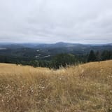 Fitton Green Natural Area Trail, Oregon - 381 Reviews, Map | AllTrails