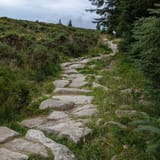 Ticknock and Fairy Castle Loop, County Dublin, Ireland - 1,151 Reviews ...